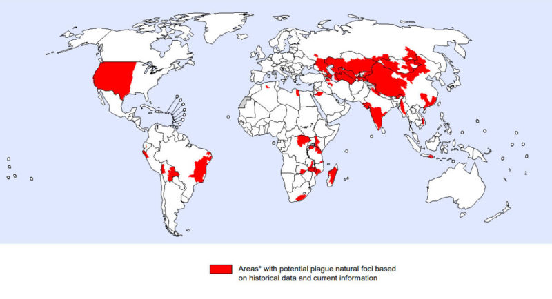Recurring Nightmare: The Plague Visits Beijing - The China Story